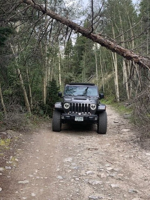 1662273768348.jpeg | Jeep 392 Forum