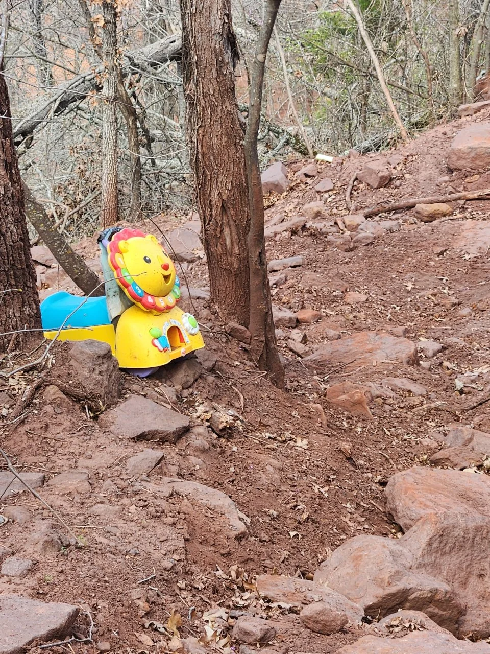 20240312_150513.jpg | Jeep 392 Forum