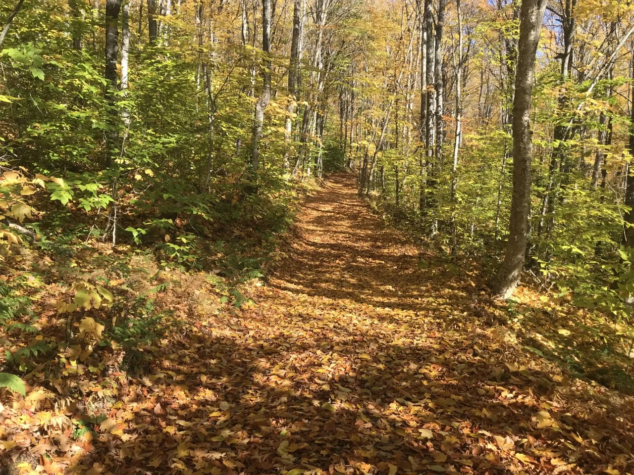 BF73BB26-A629-488B-B4F0-1125D2680F67.jpeg | Jeep 392 Forum