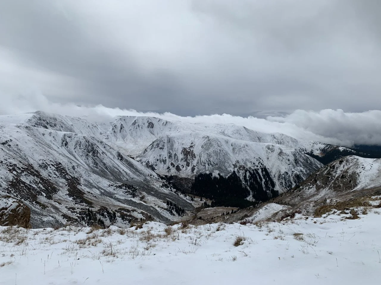 CDD69D75-98FD-41E6-A682-7F5F6AFFCBBE.jpeg | Jeep 392 Forum