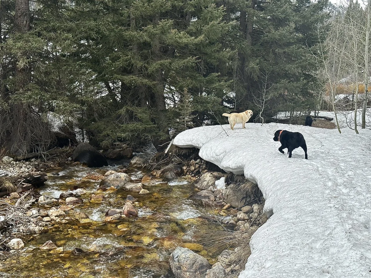 IMG_0806.jpeg | Jeep 392 Forum