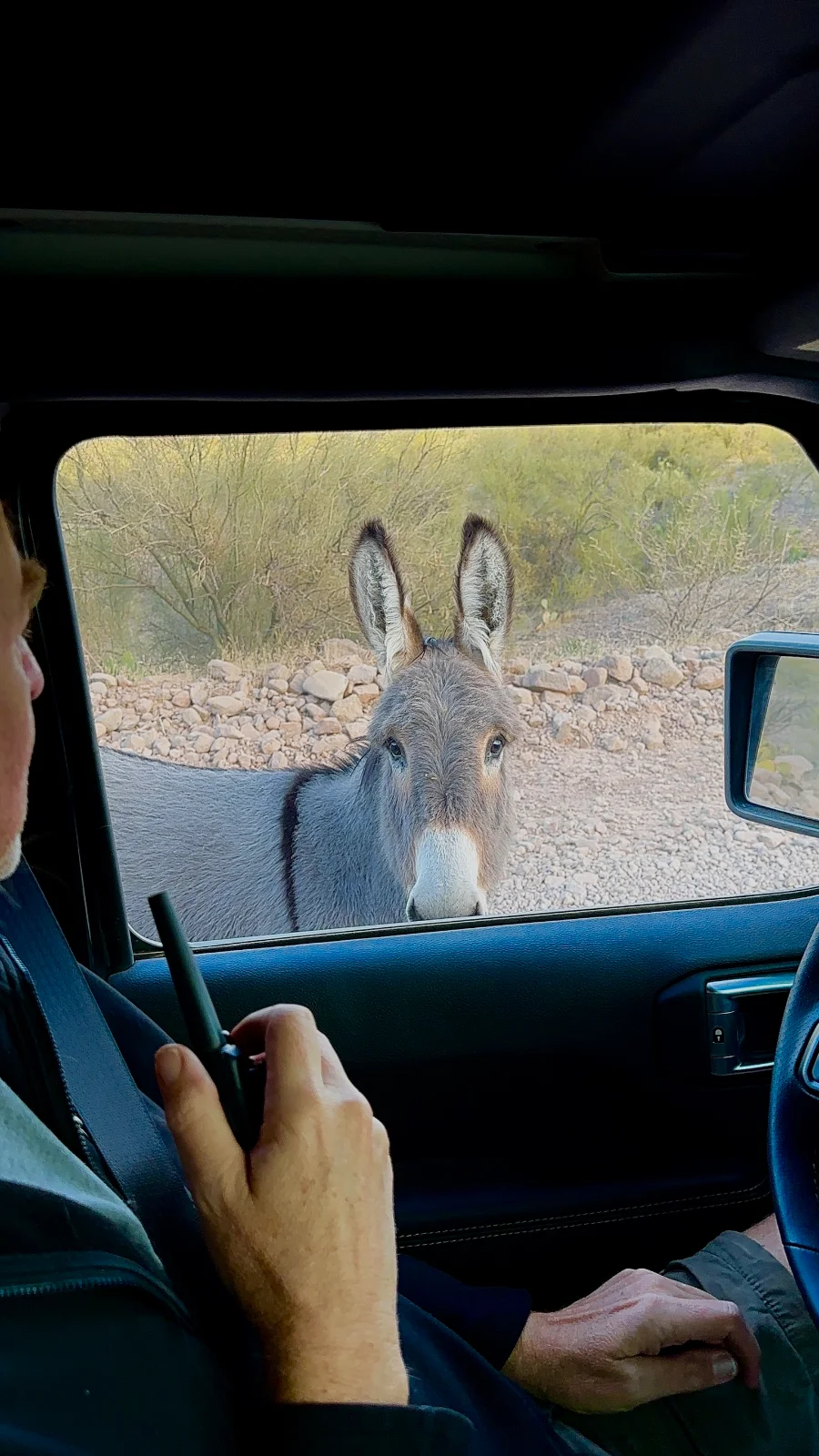 IMG_2673.webp | Jeep 392 Forum